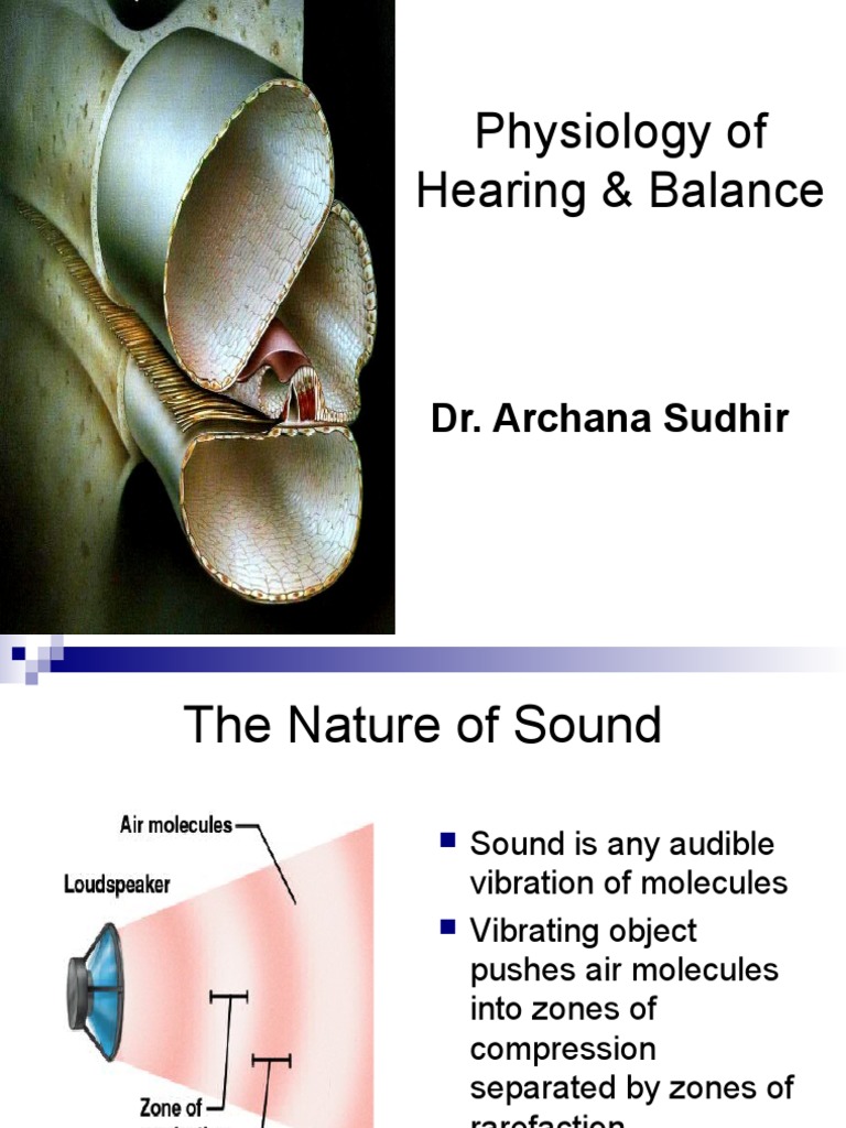 Physiology of Hearing & Balance | PDF | Ear | Hearing