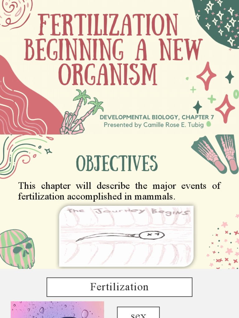 Fertilization PPT OUTLINE2 | PDF | Fertilisation | Sperm
