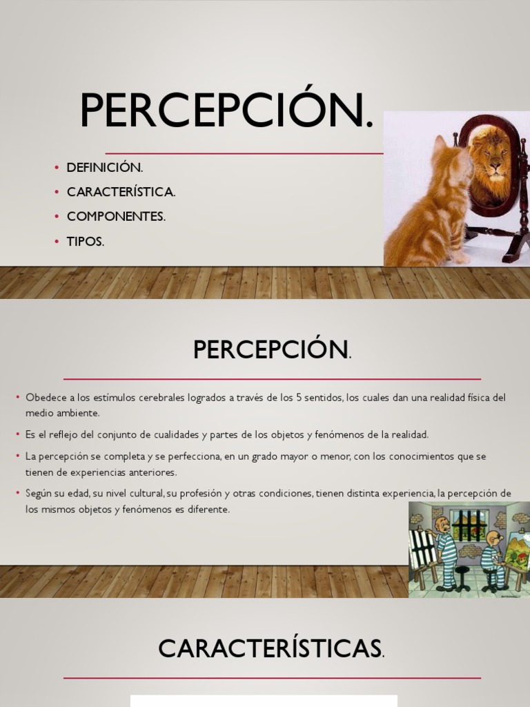 Comprensión de la percepción: Definición, características, componentes ...