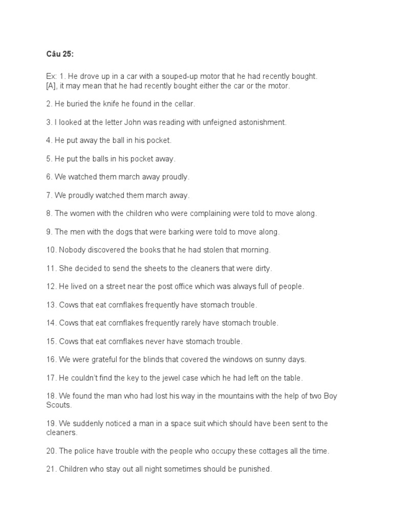 Ambiguity in English Sentences | PDF | Language Arts & Discipline ...
