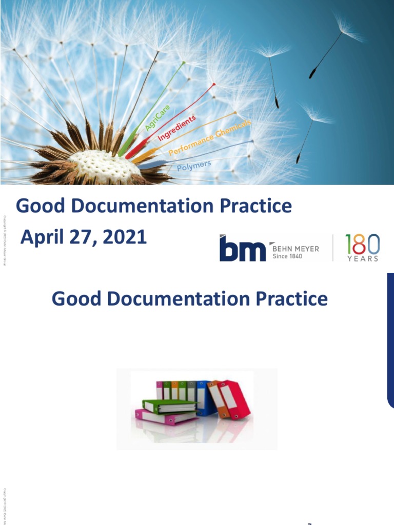 Good Documentation Practice | PDF