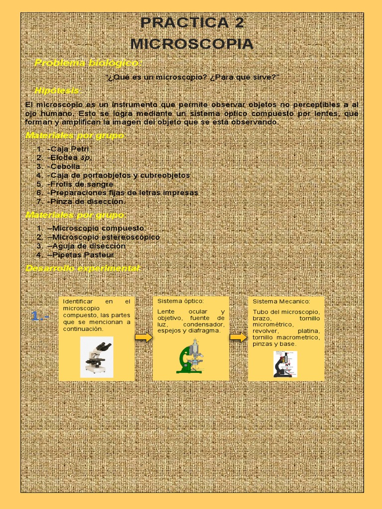 Diagrama Practica 2 MICROS | PDF | Microscopio | Óptica
