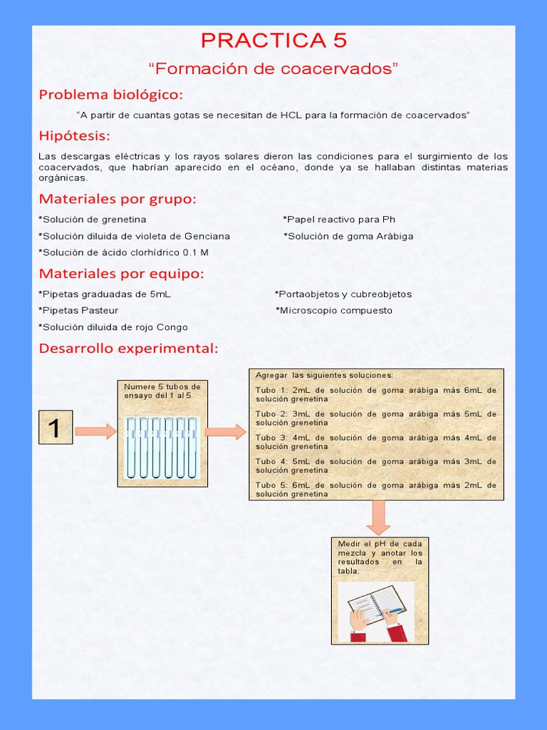 Diagrama Practica 5 Formación de Coacervados | PDF | Ácido clorhídrico ...