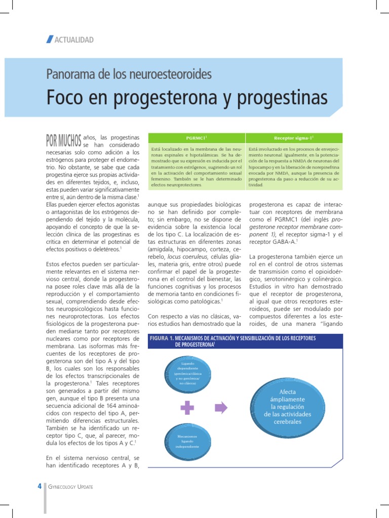 04 07 Act1 Progestrona Progestinas | PDF | Progesterona | Receptor ...