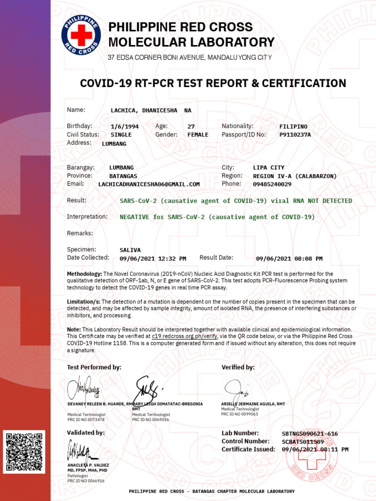 Philippine Red Cross Molecular Laboratory: Covid-19 RT-PCR Test Report ...