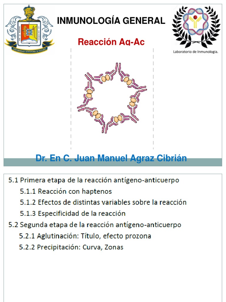 Reacción Ag-Ac | PDF | Anticuerpo | Antígeno