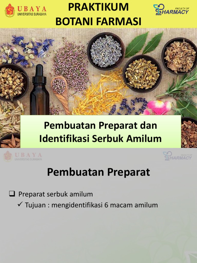 Penjelasan Amilum | PDF