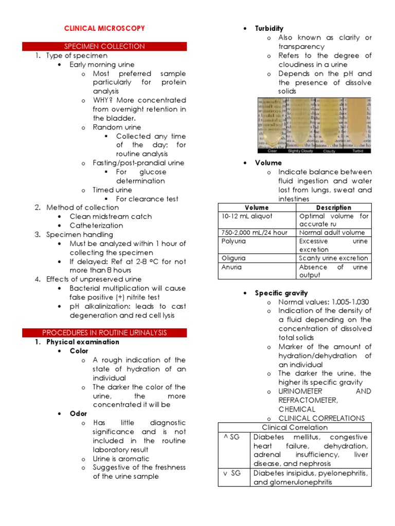 Clinical Microscopy Notes | PDF