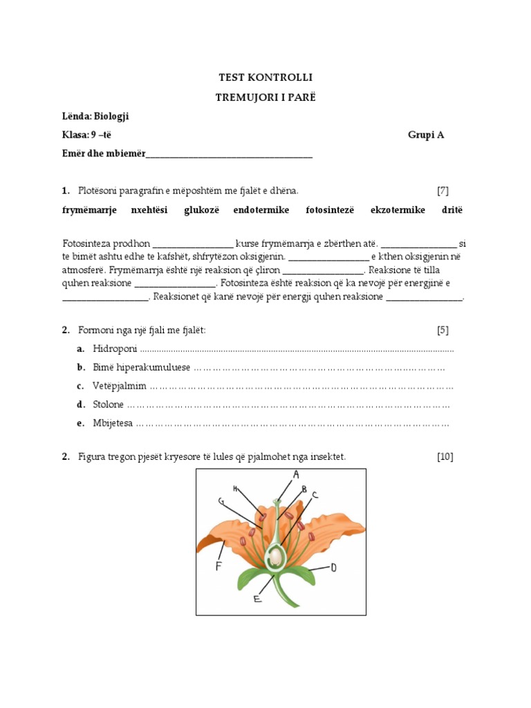Biologjia 9 Test Tremujori I | PDF