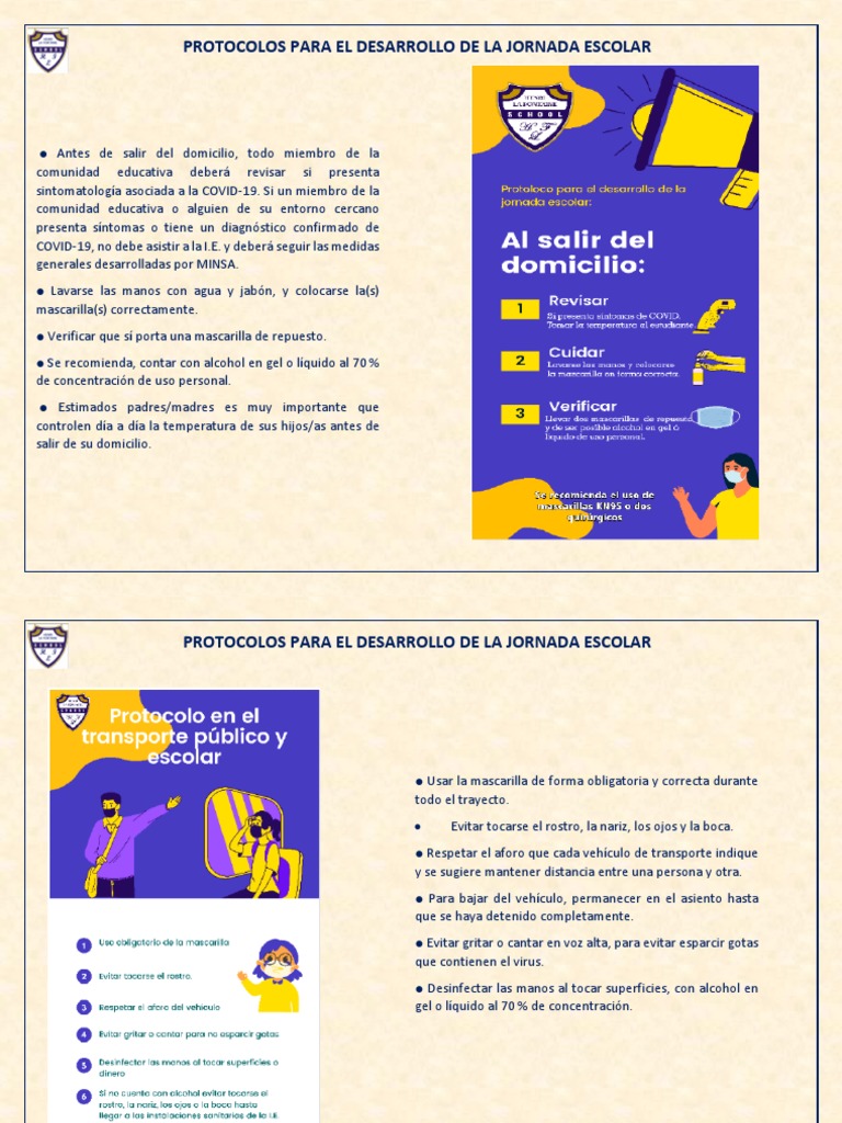 Protocolos para El Desarrollo de La Jornada Escolar | PDF | Lavado de ...
