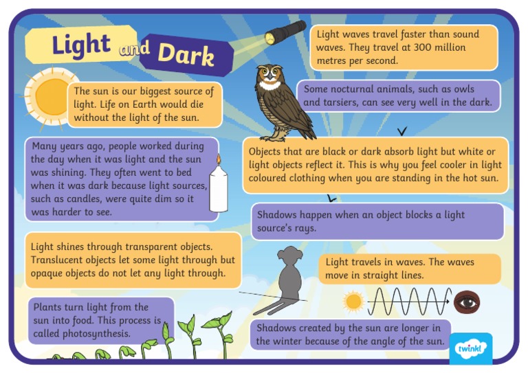 T SC 1643360364 Ten Fun Facts About Light and Dark Display Poster - Ver ...