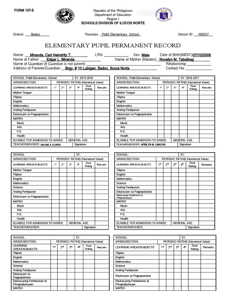 Paltit Elementary School Pupil Record | PDF | Cognition