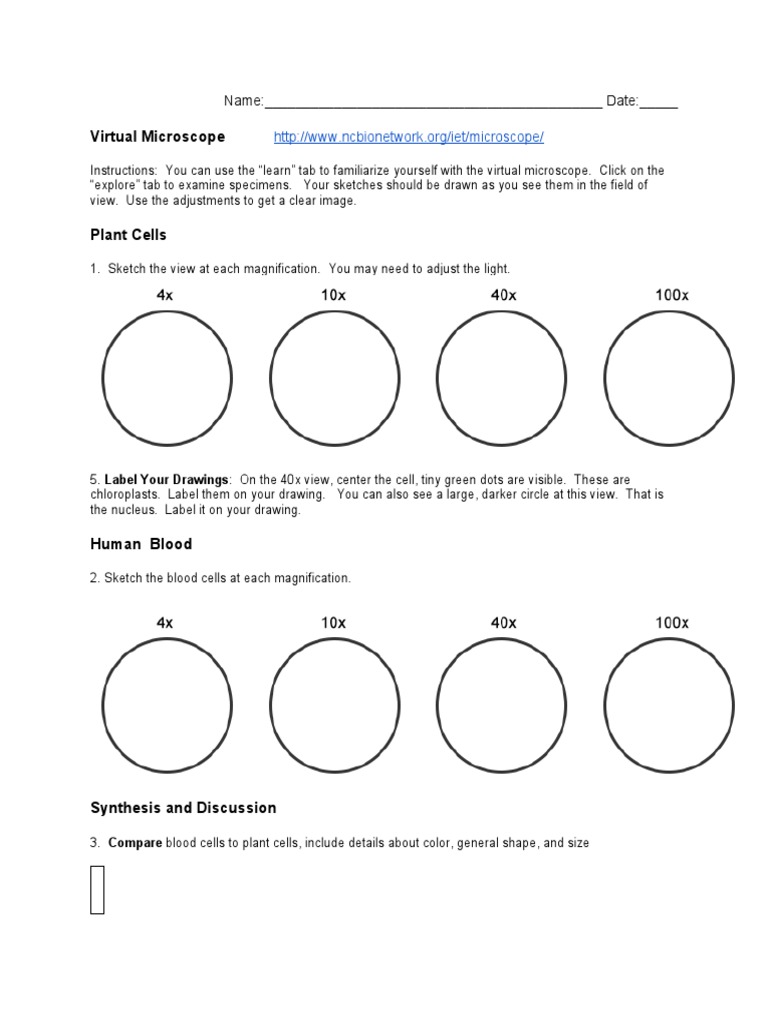 task-1-MICROSCOPE Worksheet | PDF | Microscope | Optics