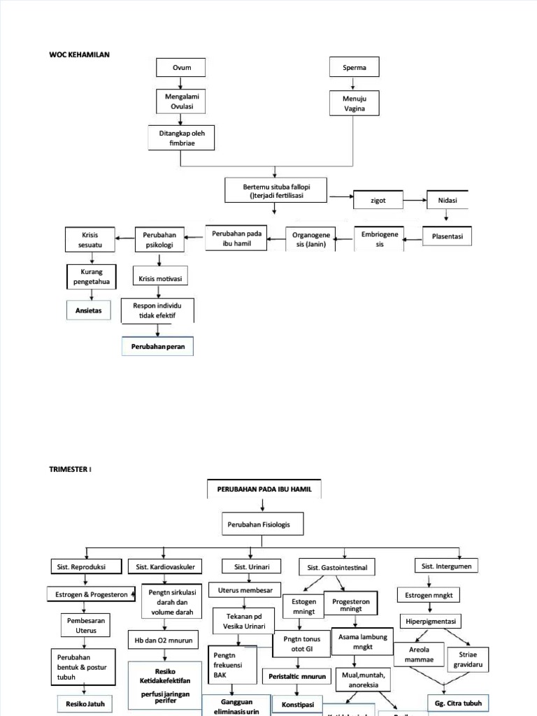 Laporan Woc Anc | PDF