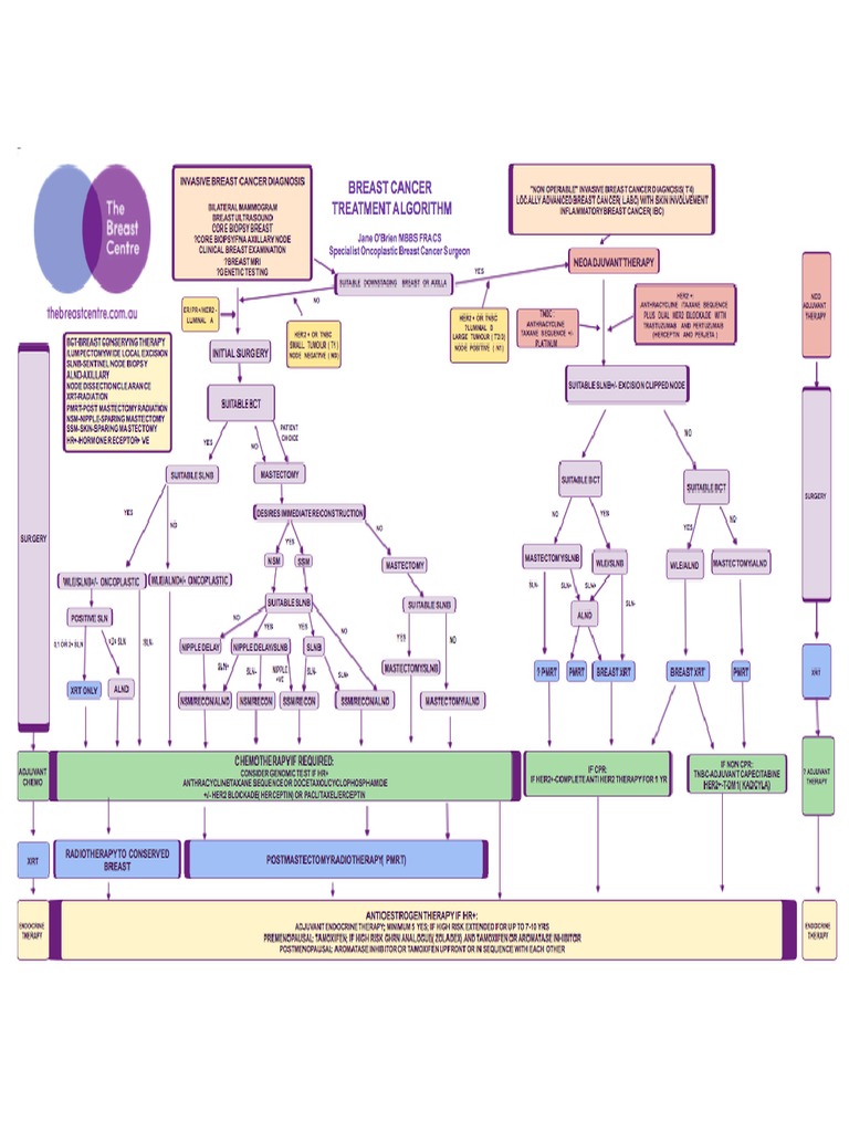 Breast Cancer Treatment Algorithm | PDF