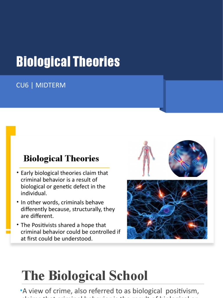 Biological Theories of Criminal Behavior | PDF | Social Science