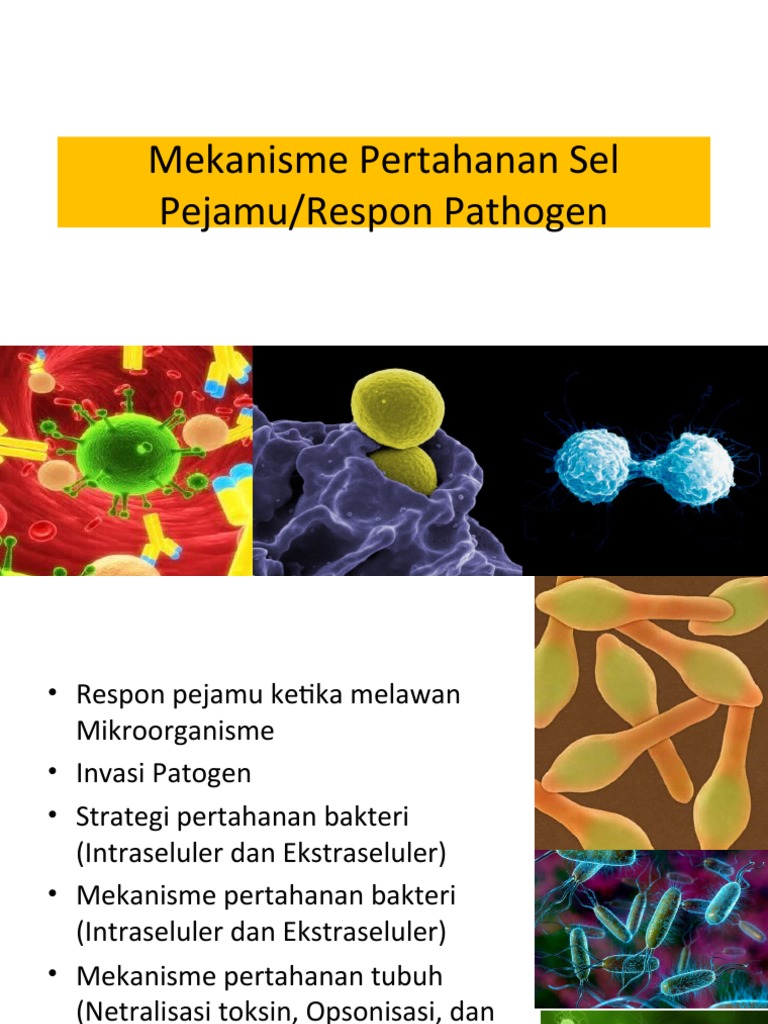 Mekanisme Pertahanan Sel Pejamu | PDF