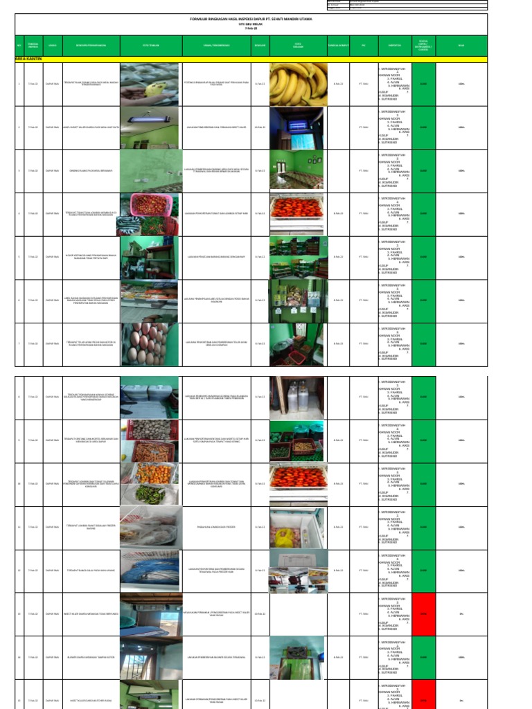 Pica Inspeksi 7 Februari 2022 | PDF