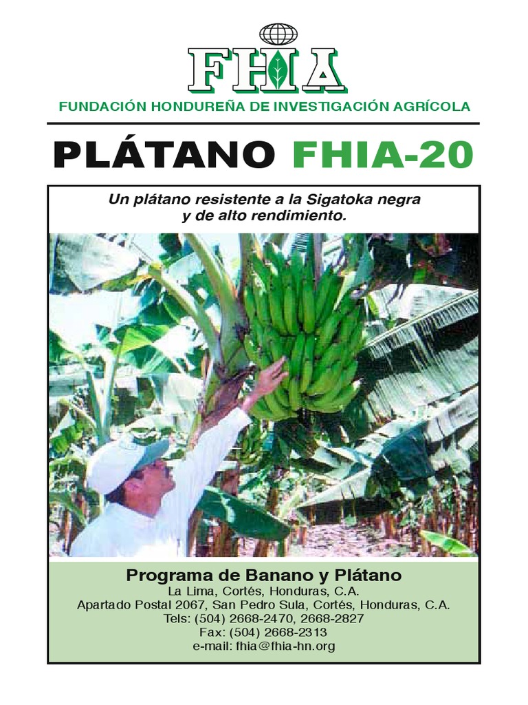 Fhia 20 | PDF | Horticultura y jardinería | Botánica