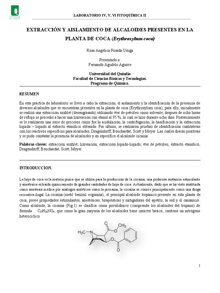 Practica #6 Extracción de Alcaloides Presentes en La Coca | PDF ...