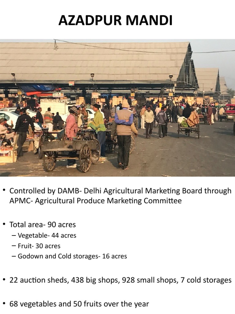 Azadpur Mandi | PDF | Auction | Market (Economics)