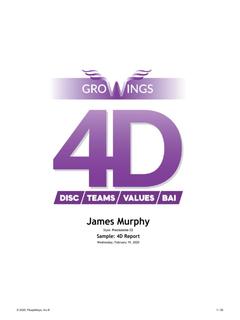 James Murphy: Sample: 4D Report | PDF | Value (Ethics) | Decision Making