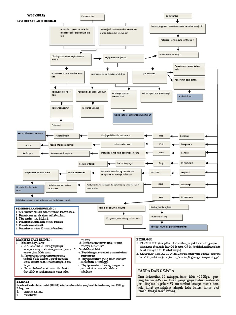 LP WOC BBLR (Fiks RDS) | PDF