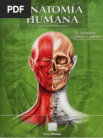 Netter - Anatomía de Cabeza y Cuello para Odontólogos, 3rd Edition Full ...