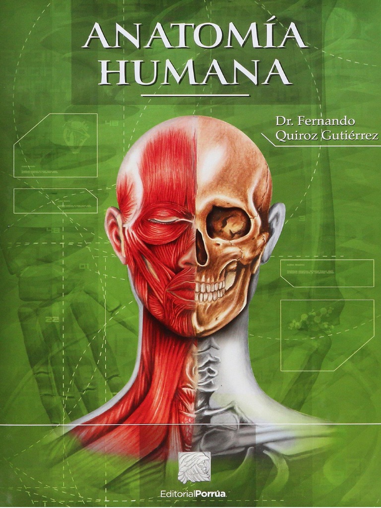 Anatomia Humana Quiroz Tomo 1 | PDF