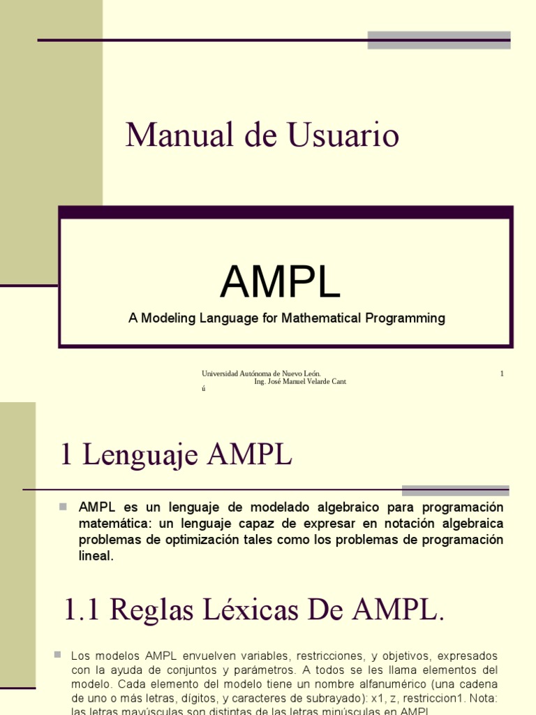 Manual AMPL 1 | PDF