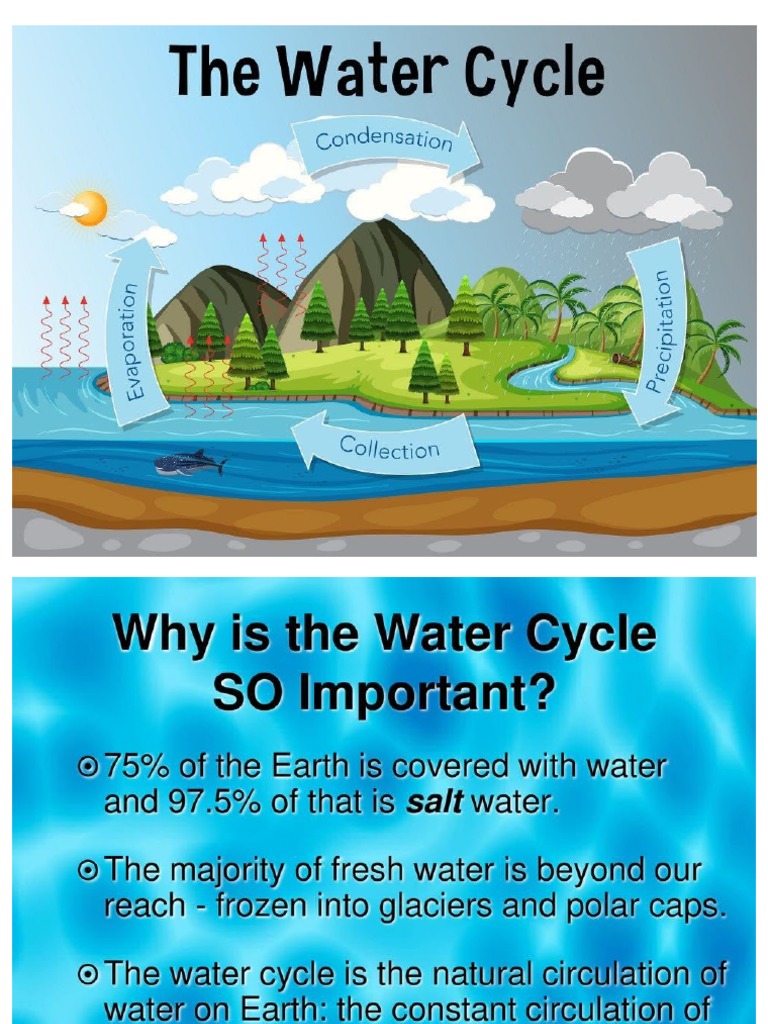 Air and Water - Grade 5 | PDF