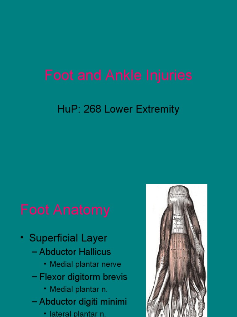 Foot Ankle Injuries | PDF | Injury | Foot