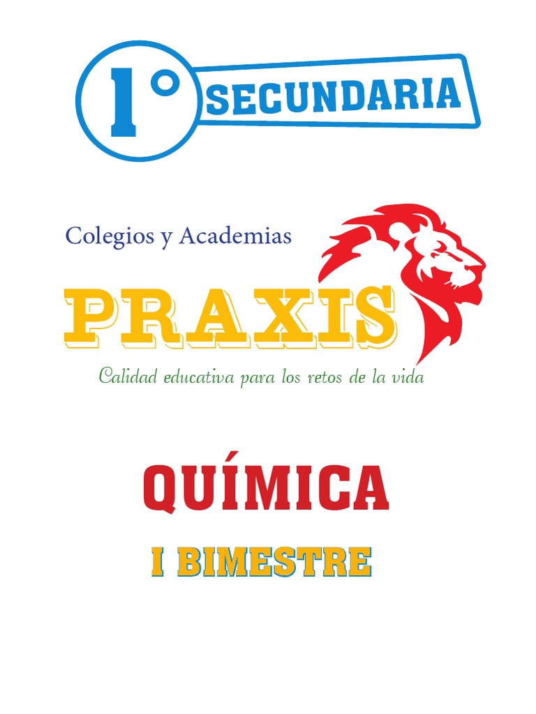 Quimica Praxis | PDF