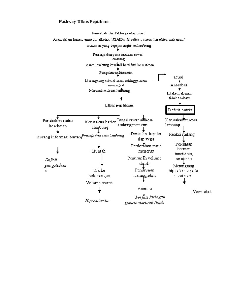 Pathway Ulkus Peptikum | PDF