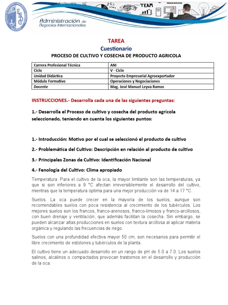 Proyecto Agroexportador Yuli | PDF | Agricultura | Patata