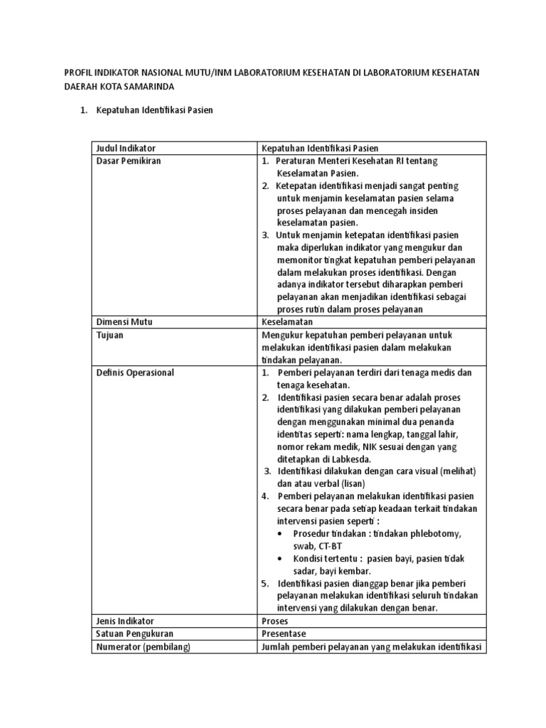 Profil INM Prioritas Dan Unit Labkesda-1 | PDF