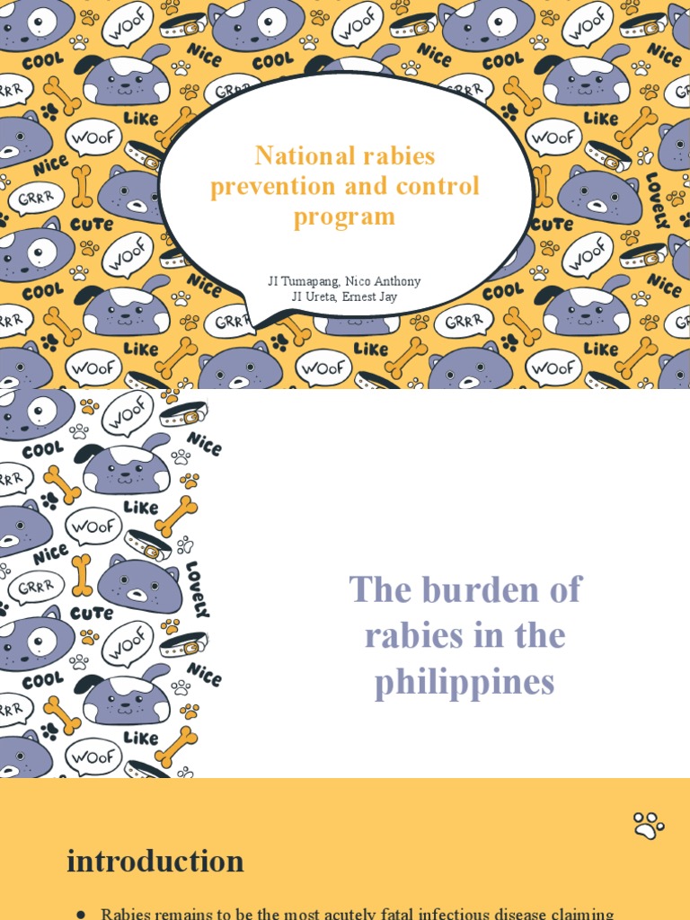 National Rabies Prevention and Control Program | PDF | Rabies | Vaccines