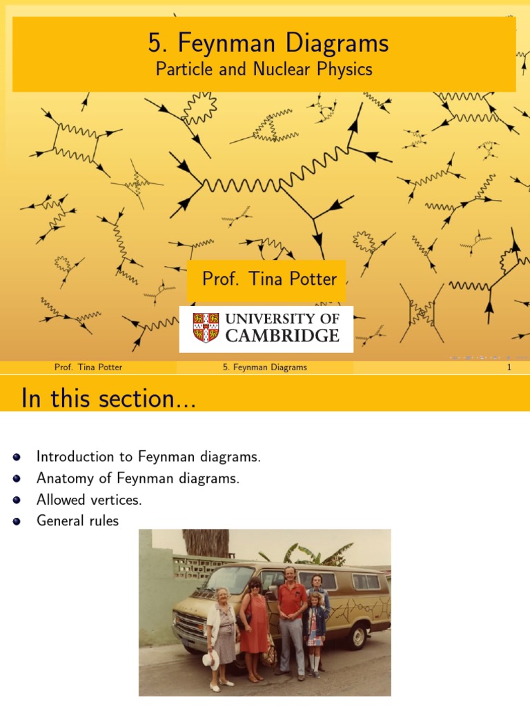 Feynman Diagrams: Particle and Nuclear Physics | PDF | Perturbation ...