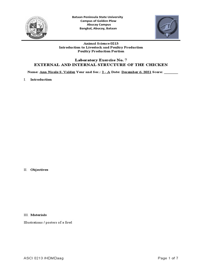 Internal and External Structure of Chickens | PDF | Human Body | Testicle