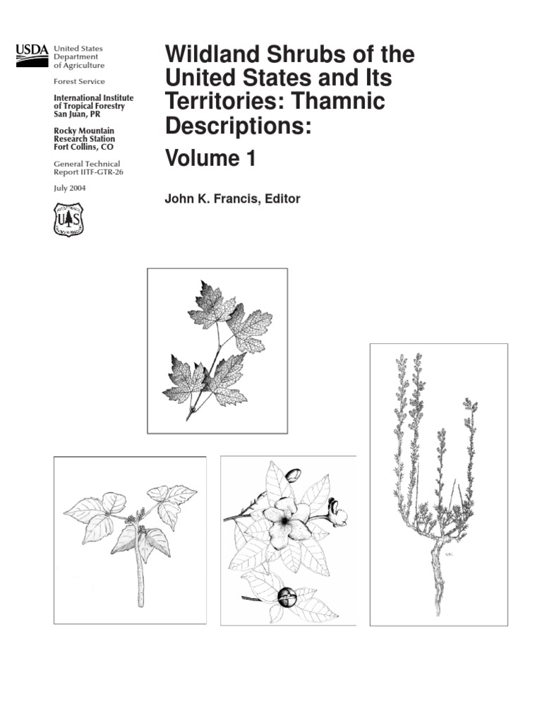 Furcraea Foetida (L.) Haw | PDF | Trees | Perennial Plant