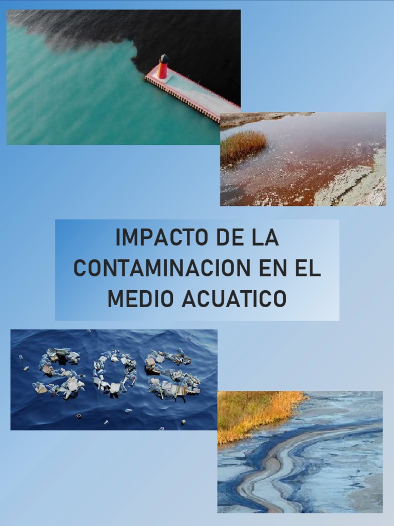 Proyecto Resolicion de Ambiente | PDF | Agua | La contaminación del agua