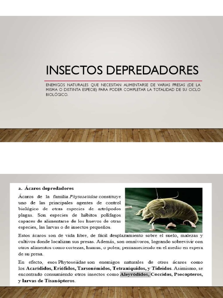 Insectos Depredadores | PDF