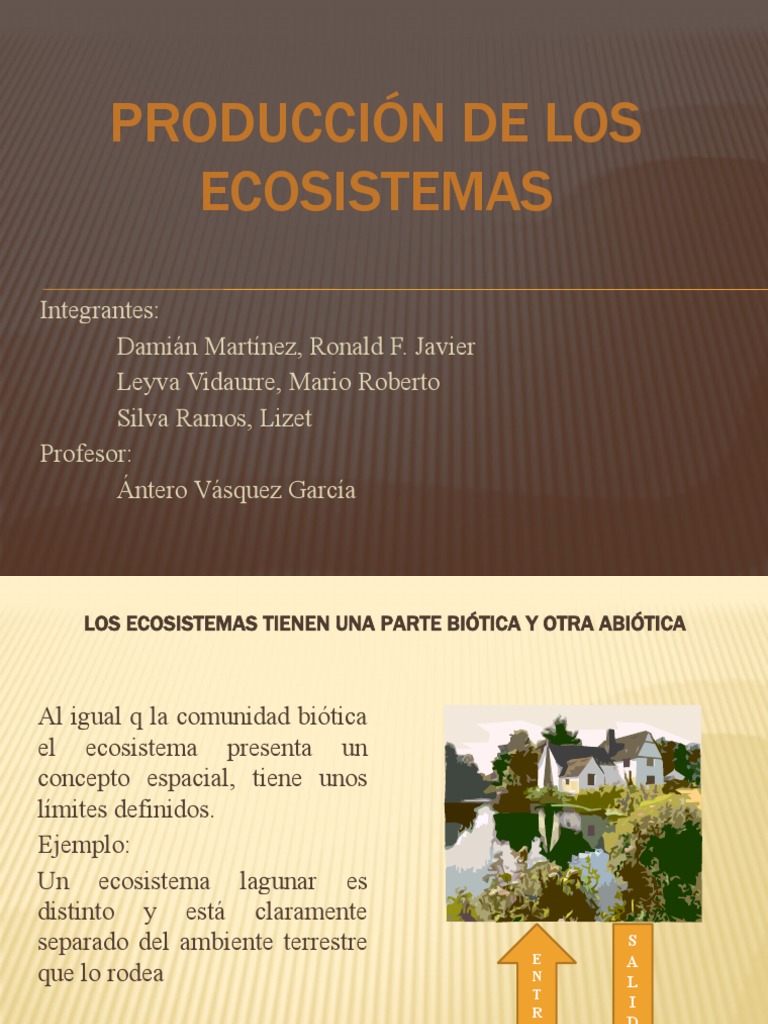 Producción de Los Ecosistemas | PDF | Red alimentaria | Biomasa (Ecología)