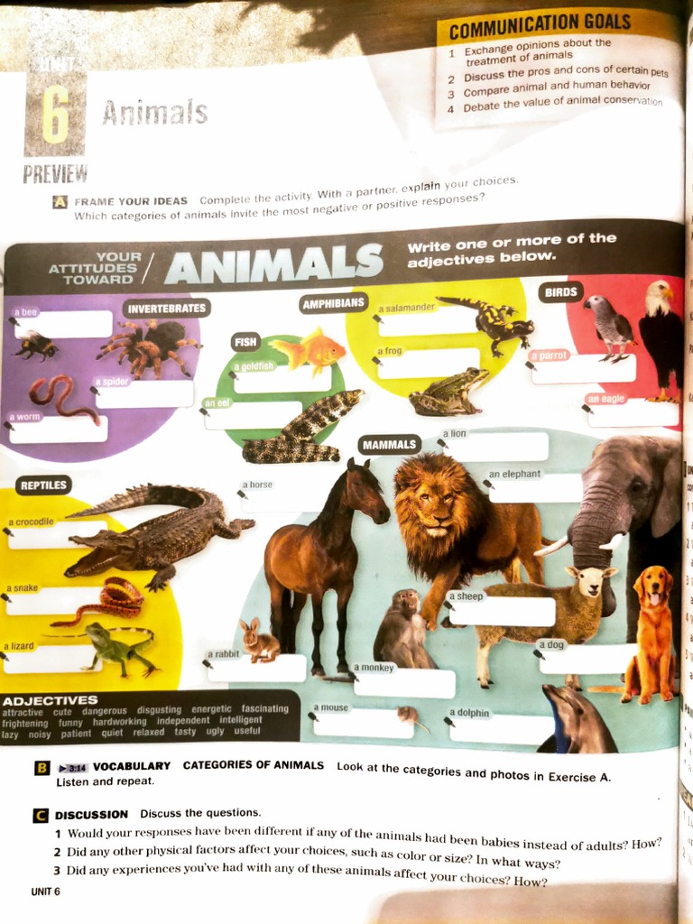 SB Unit6 4 | PDF | Predation | Animals And Humans SB Unit6 4 | PDF | Predation | Animals And Humans