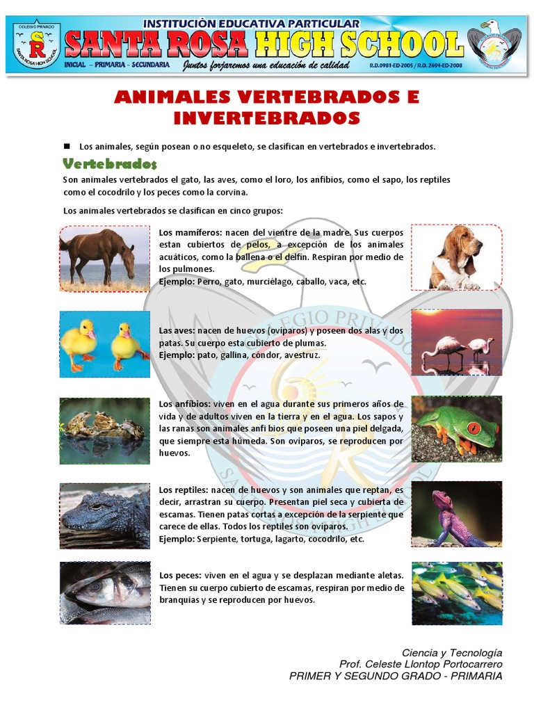 26-08-20 - Ciencia y Tecnología - Animales Vertebrados e Invertebrados ...