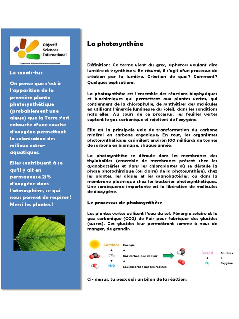 Fiche Peda Photosynthese-3 | PDF | Photosynthèse | Chloroplaste