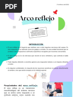 Esquema Arco Reflejo | PDF