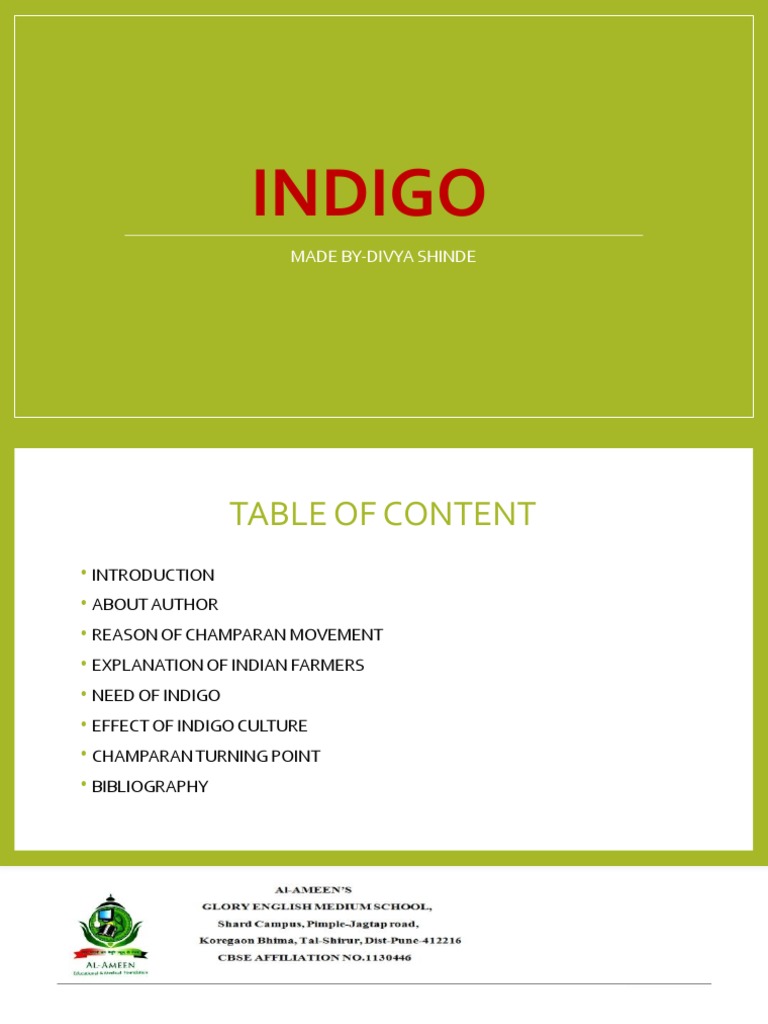 Indigo: Made By-Divya Shinde | PDF