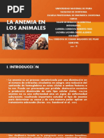 Diagnóstico de Anemia en Bovinos | PDF | Anemia | Glóbulo rojo