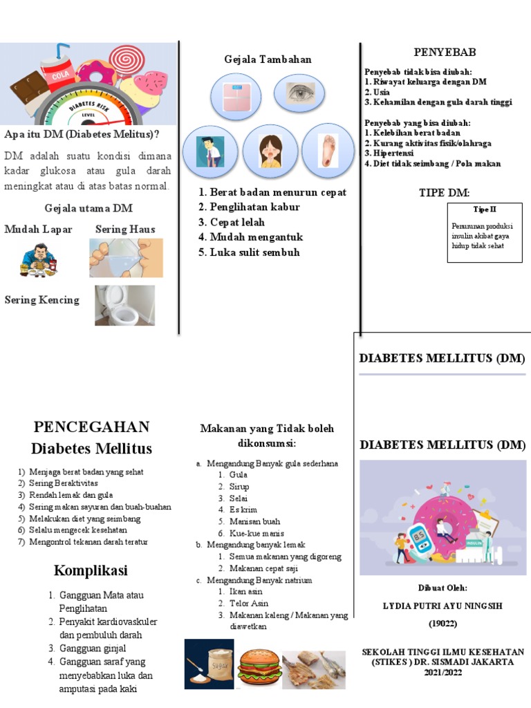 Leaflet DM Lansia | PDF